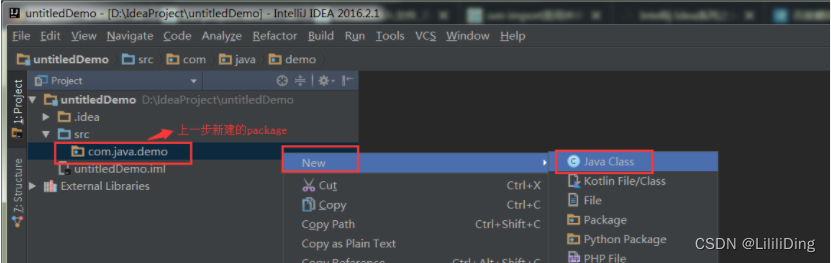 IDEA2022创建Java项目步骤_idea2022新建java项目-CSDN博客