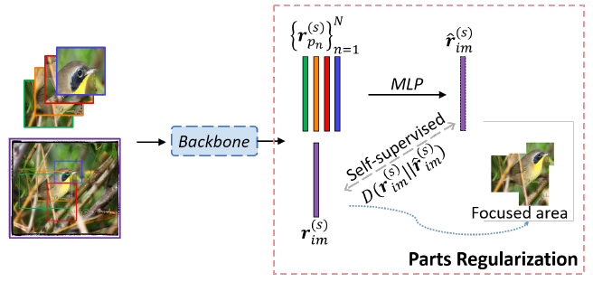 [CVPR 2022] Fine-Grained Object Classification via Self-Supervised Pose Alignment-CSDN博客