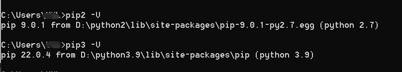 Windows下Dirmap安装填坑-CSDN博客