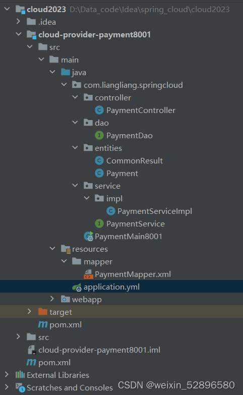 SpringCloud学习day01——支付模块构建b站尚硅谷周阳老师_2024 spring cloud 周洋-CSDN博客