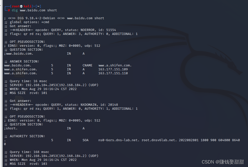 网络安全——DNS介绍_安全dns-CSDN博客
