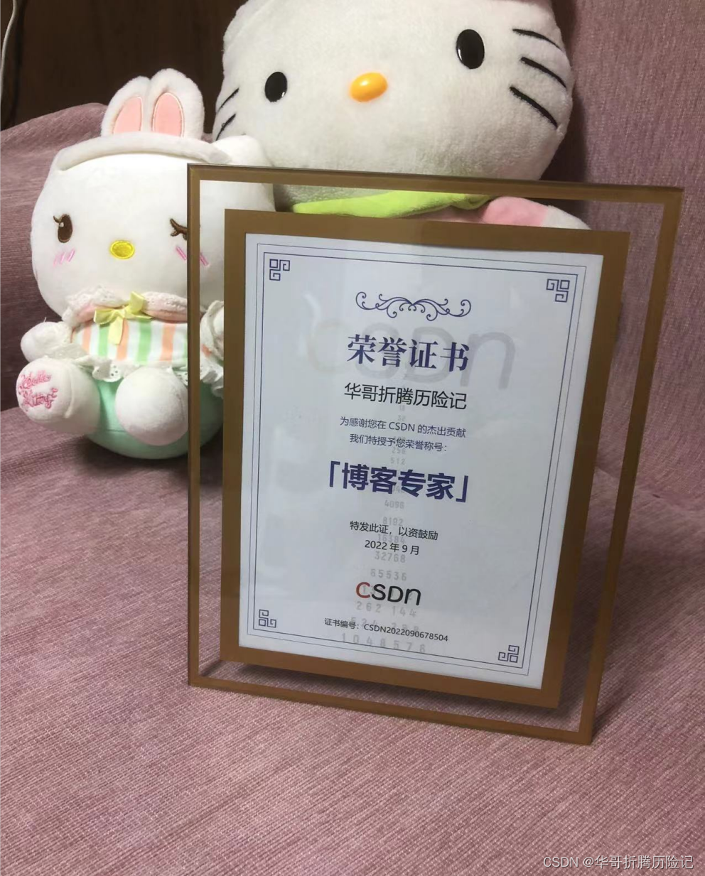 博客专家证书,已收到【华哥折腾历险记】csdn博客专家证书 Csdn博客