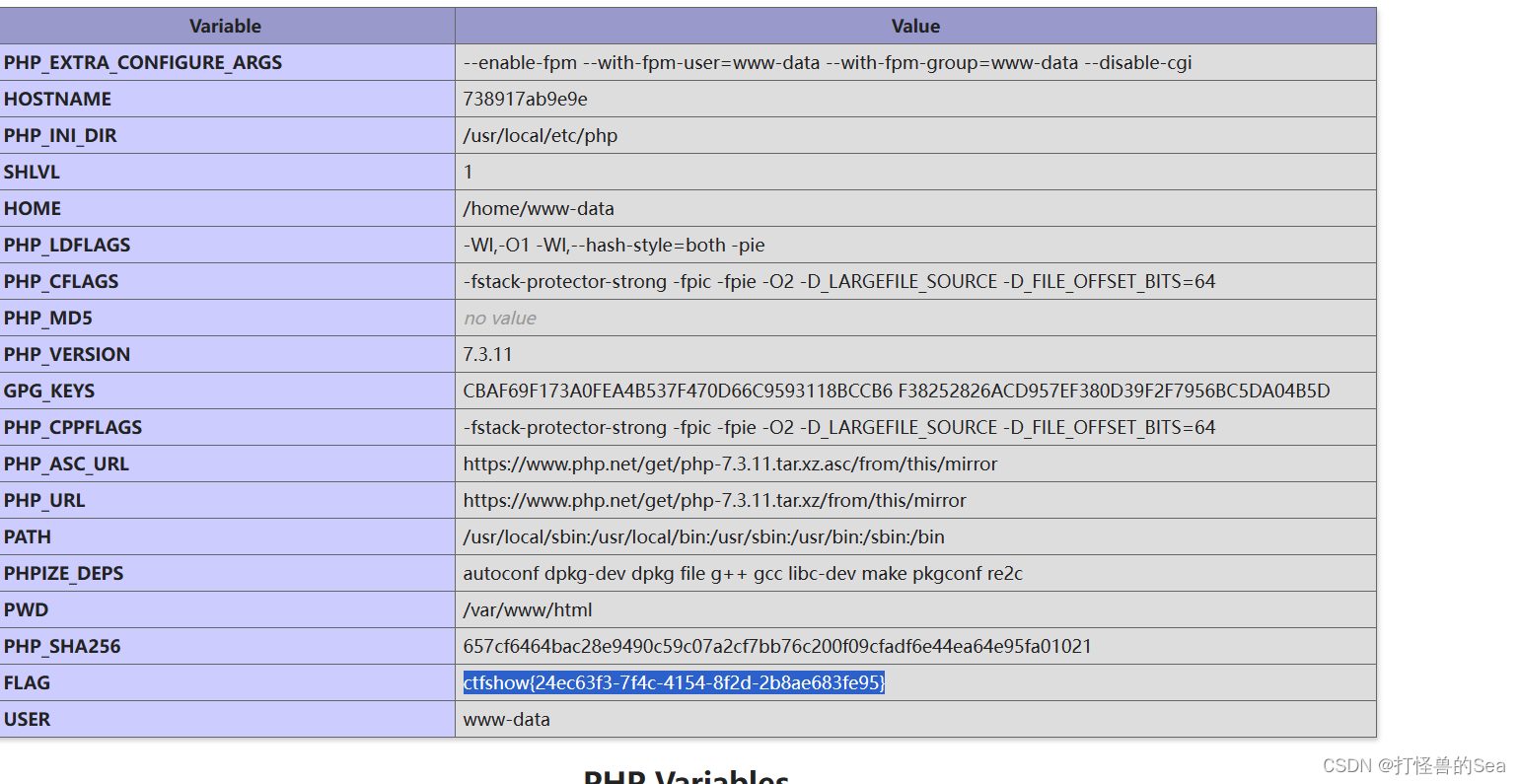 CTF-Web16（对于测试用的探针，使用完毕后要及时删除，可能会造成信息泄露）_ctf 探针利用-CSDN博客