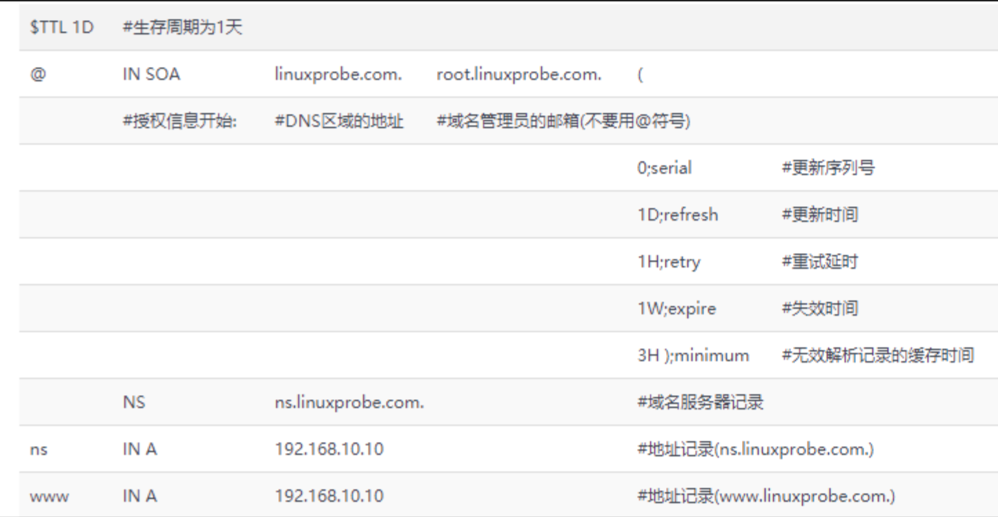bind---dns服务器_bind dns-CSDN博客