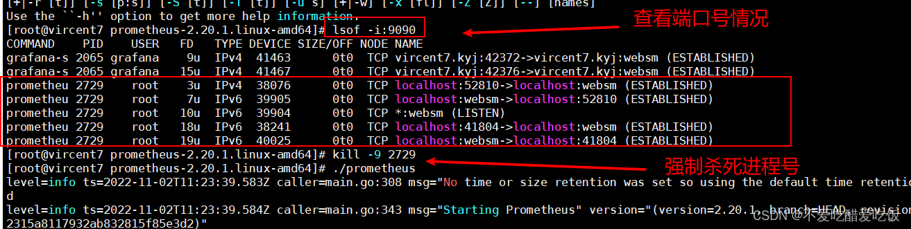 启动prometheus报错_opening storage failed: lock db directory: resourc-CSDN博客