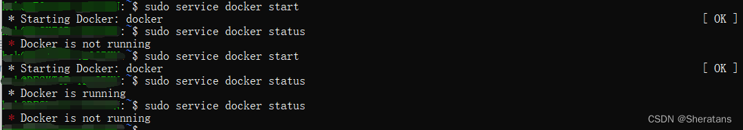 WSL2 ubuntu docker vulhub-CSDN博客