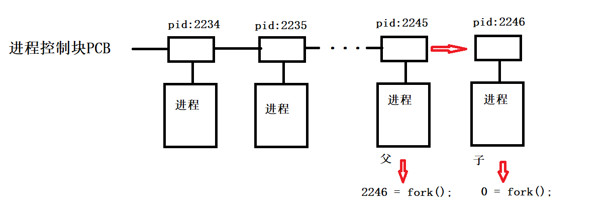 Linux : 进程的复制 (fork)_fork创建子进程是从当前行复制哪些代码-CSDN博客