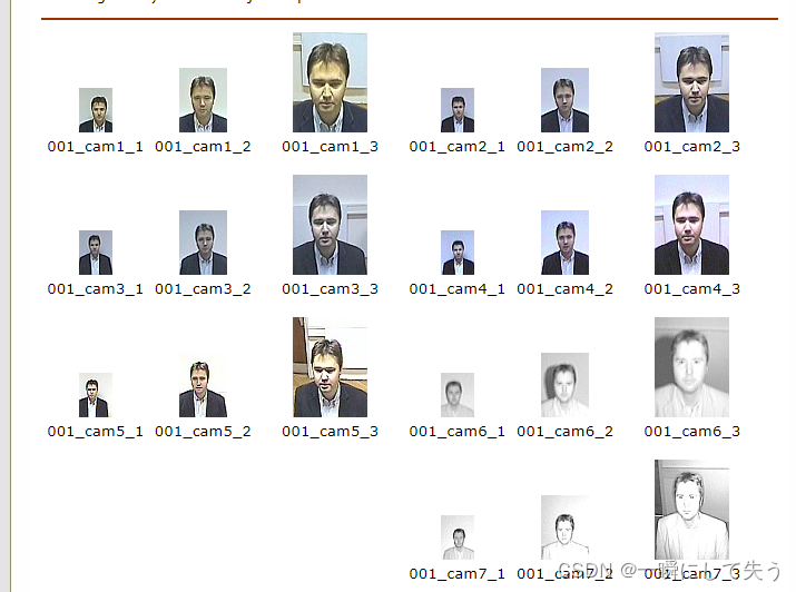 无约束低分辨率人脸识别综述一：用于低分辨率人脸识别的数据集_scface-CSDN博客