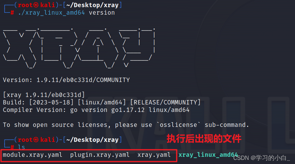 Xray——Windows及Linux安装_xray安装教程-CSDN博客