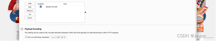 Ctfshow web入门 爆破系列 21~28_ctfshow web入门 web22-CSDN博客