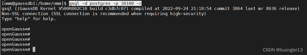 高斯gsql 常用命令_gsql命令-CSDN博客