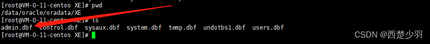Oracle利用as Of Timestamp语句找回误删除的数据oracle 勿删 Csdn博客