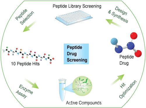 PEPTIDE LIBRARY 多肽文库构建和筛选_random peptide library-CSDN博客