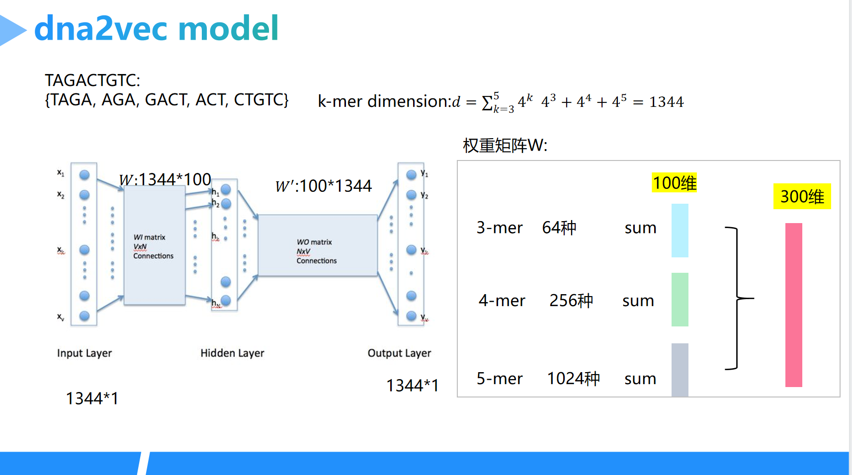 word2vec +dna2vec论文阅读-CSDN博客