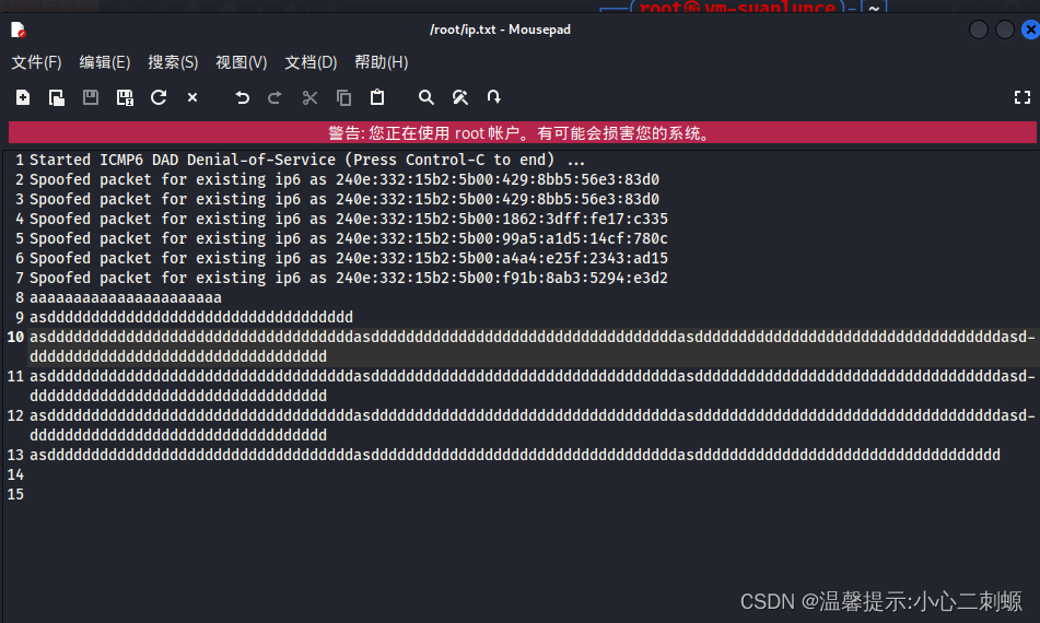 Thc-Ipv6 使用-CSDN博客