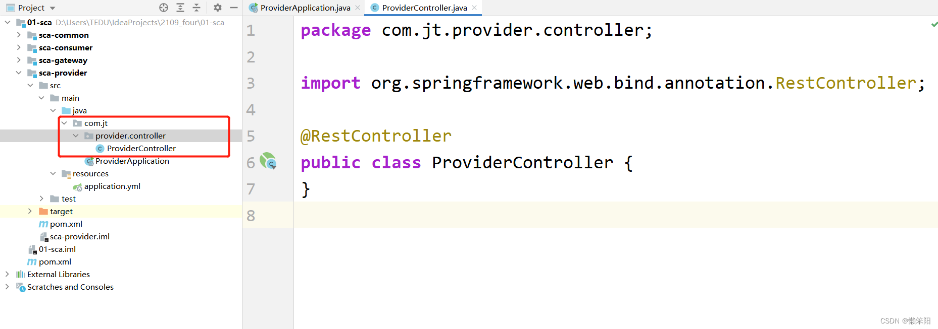 Nacos服务注册中心_nacos config_info_懂Java的懒阳阳的博客-CSDN博客