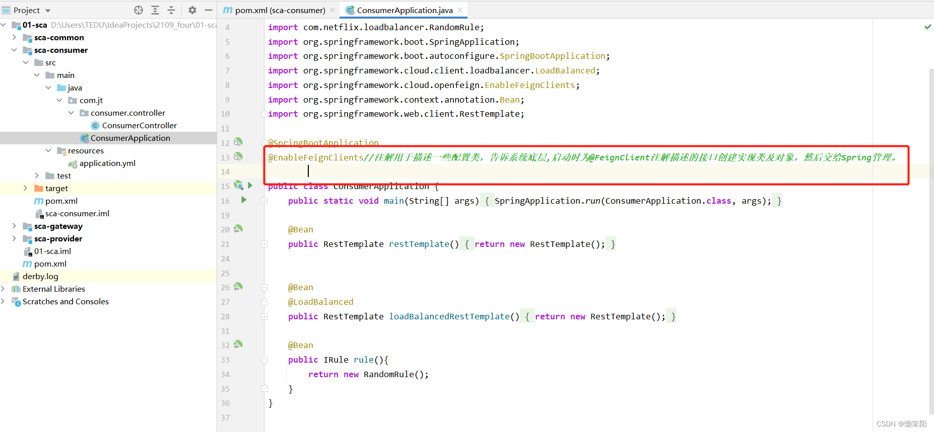 Nacos服务注册中心_nacos config_info_懂Java的懒阳阳的博客-CSDN博客