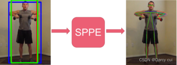 Alphapose算法-CSDN博客