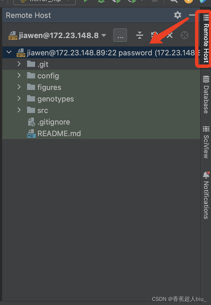 pycharm连接并配置远程服务器_pycharm部署项目到服务器-CSDN博客