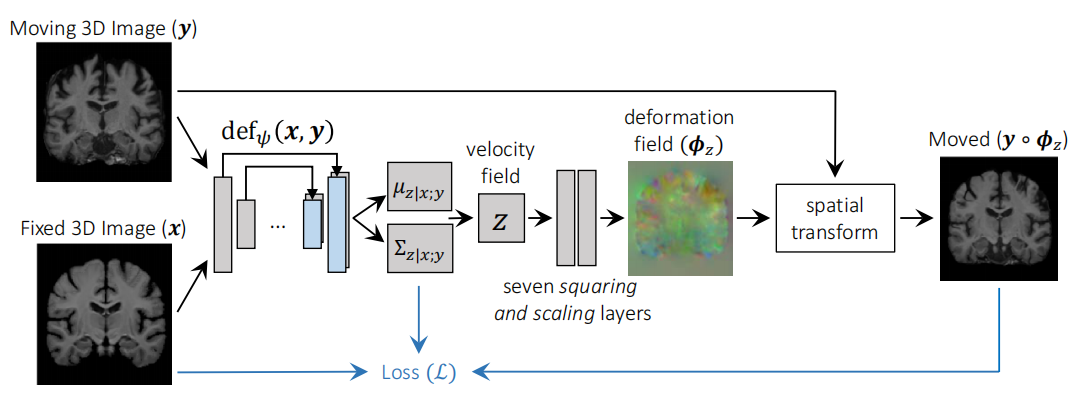 【学习笔记VoxelMorph系列文章2】：《Unsupervised Learning for Fast Probabilistic Diffeomorphic Registration ...