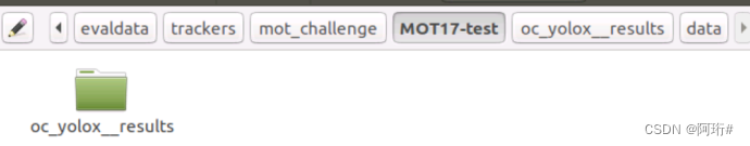 ocsort 复现_oc-sort 个人数据集-CSDN博客