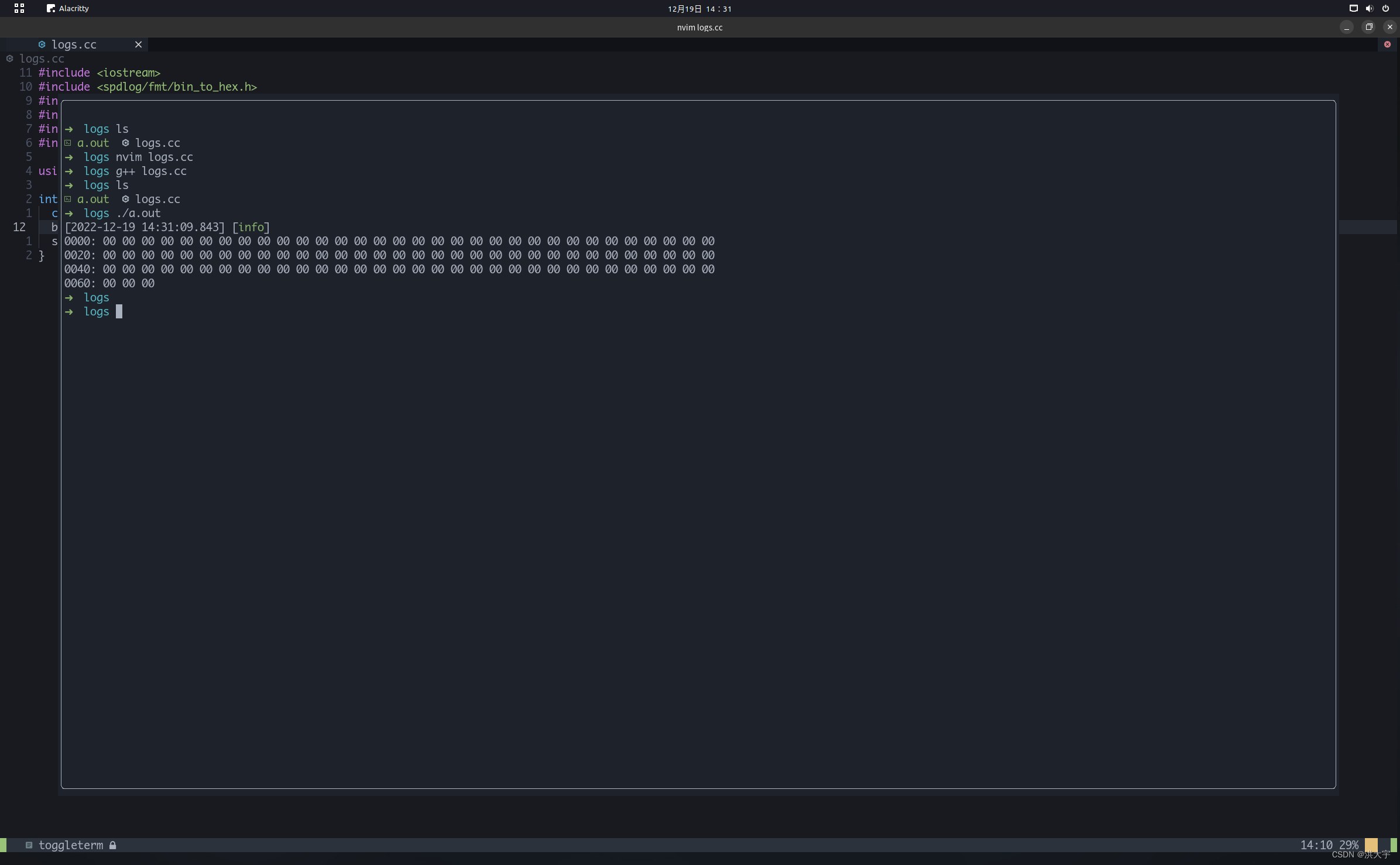 spdlog 格式化 bin_spdlog %格式化-CSDN博客