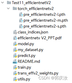深度学习网络模型——EfficientNet V2模型详解与代码复现_efficient模型代码-CSDN博客