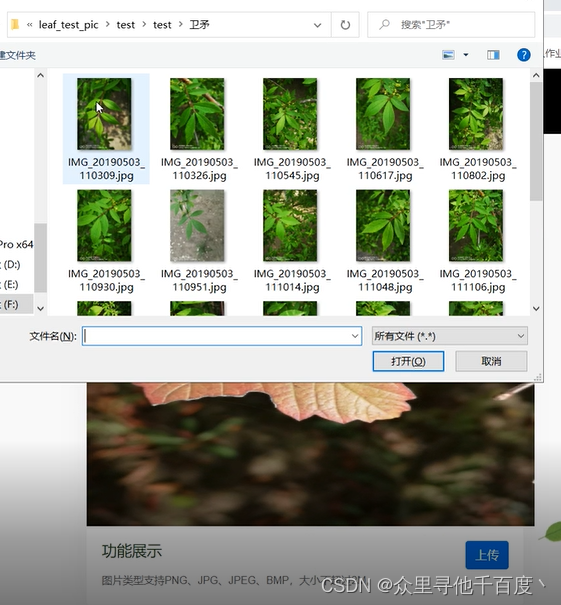 【识别系统】物品智能识别系统(以植物叶片为例)(可执行文件源程序操作说明技术文档)python视觉识别树叶 Csdn博客