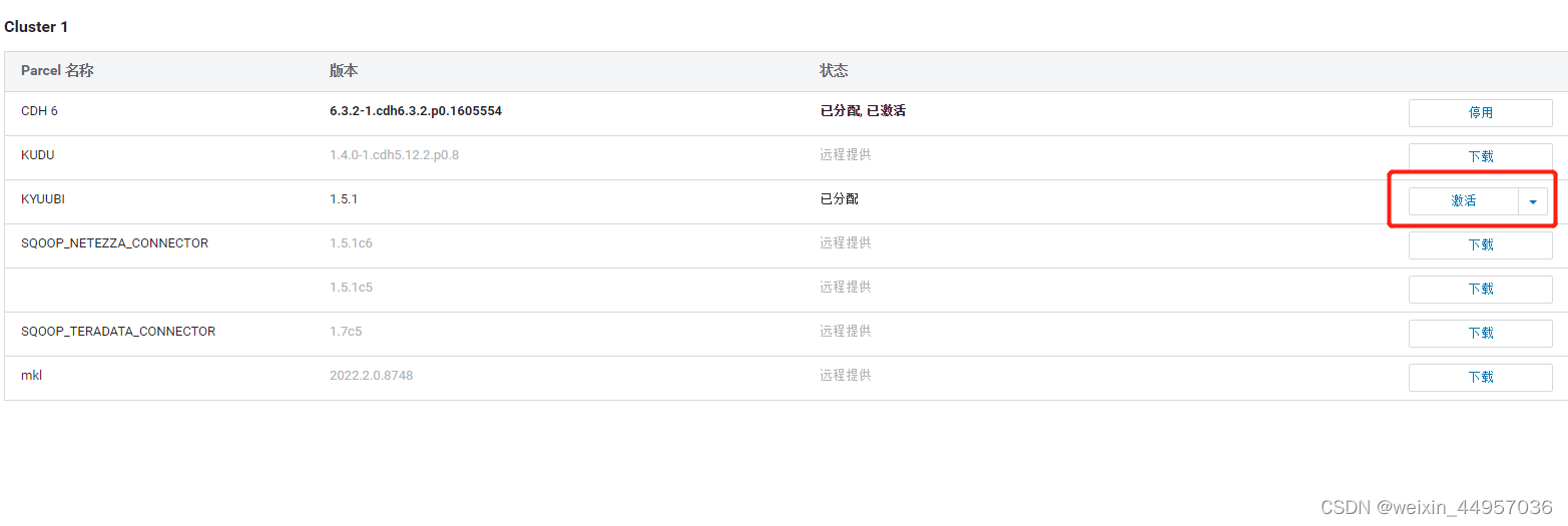 CDH6.3.2（cdh5适用）集成自制Kyuubi Parcel（自定义parcel部署到CM）_cloudera service.sdl-CSDN博客