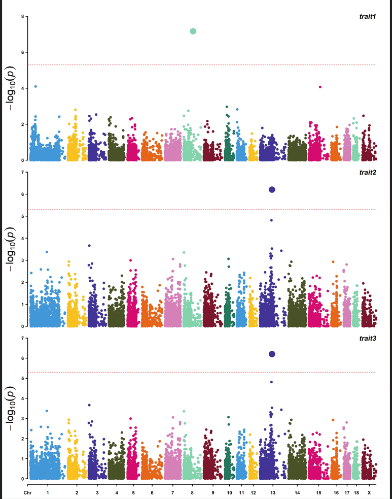 多个性状的曼哈顿图合并如何做？_cmplot绘制多性状曼哈顿图-CSDN博客