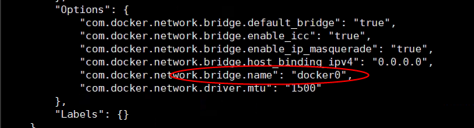 Docker网络_ens33和lo哪个是ip地址-CSDN博客