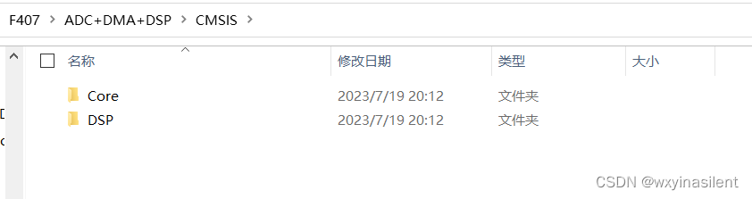 基于Clion开发的STM32：手动添加最新的DSP数学库_stm32 dsp库 最新-CSDN博客