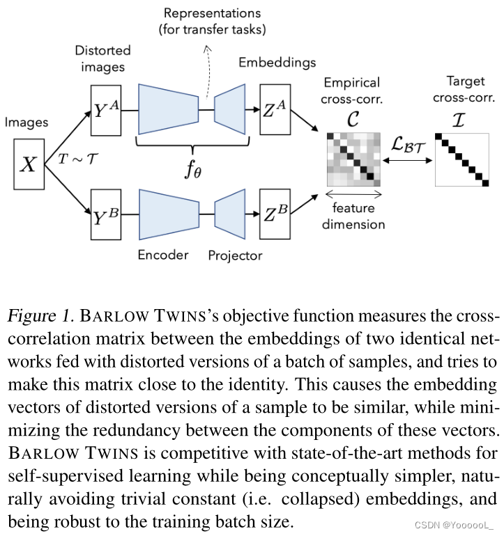 自监督论文阅读笔记 Barlow Twins: Self-Supervised Learning via Redundancy Reduction-CSDN博客