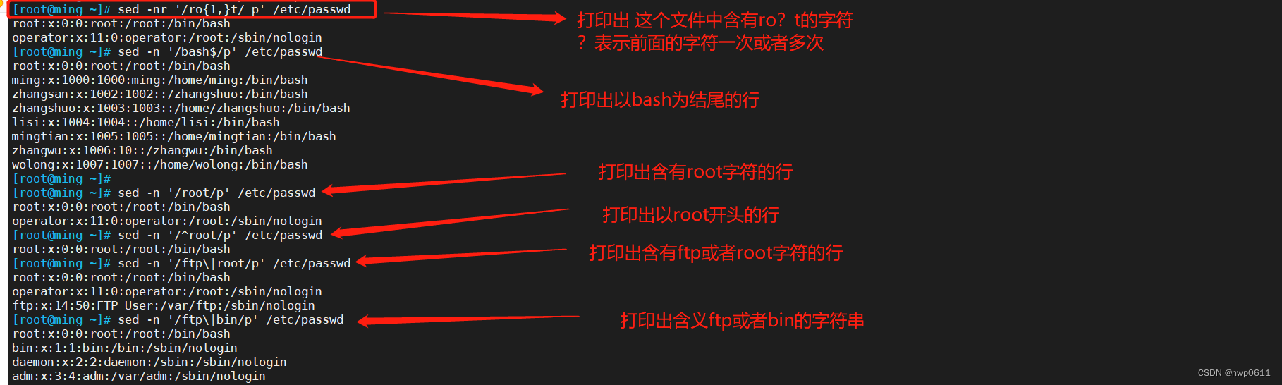 shell编程之sed编辑器_shell编辑器_nwp0611的博客-CSDN博客