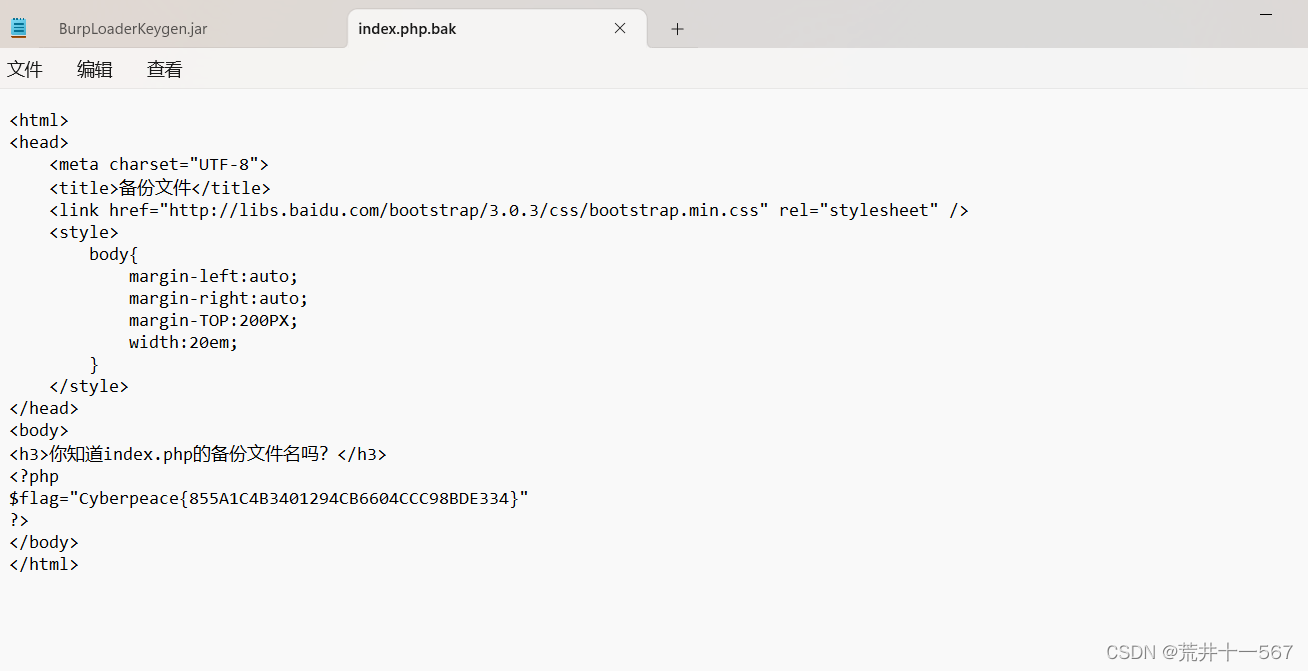 攻防世界 web新手关-CSDN博客
