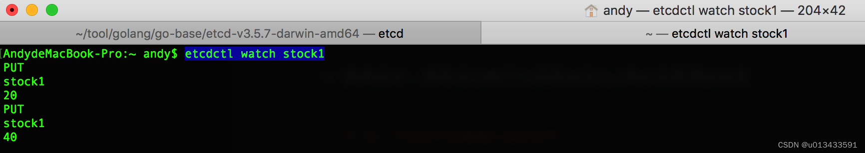 Go ETCD 安装 & 使用_etcd for go-CSDN博客