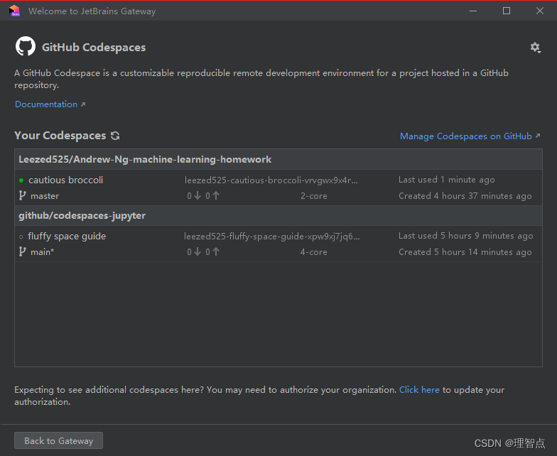github codespace 使用jetbrain gateway开发_jetbrains gateway使用-CSDN博客
