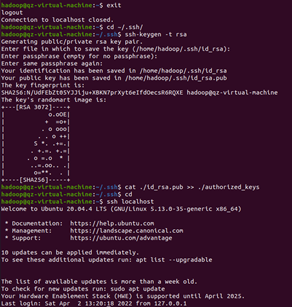 Hadoop 安装与 HDFS 基础实践_sudo su - hadoop-CSDN博客