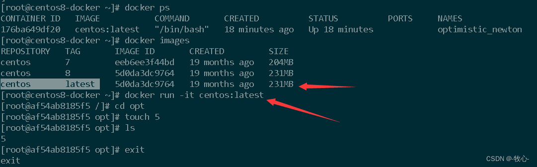 Docker应用---Docker“容器”的常用使用操作_docker -p命令-CSDN博客