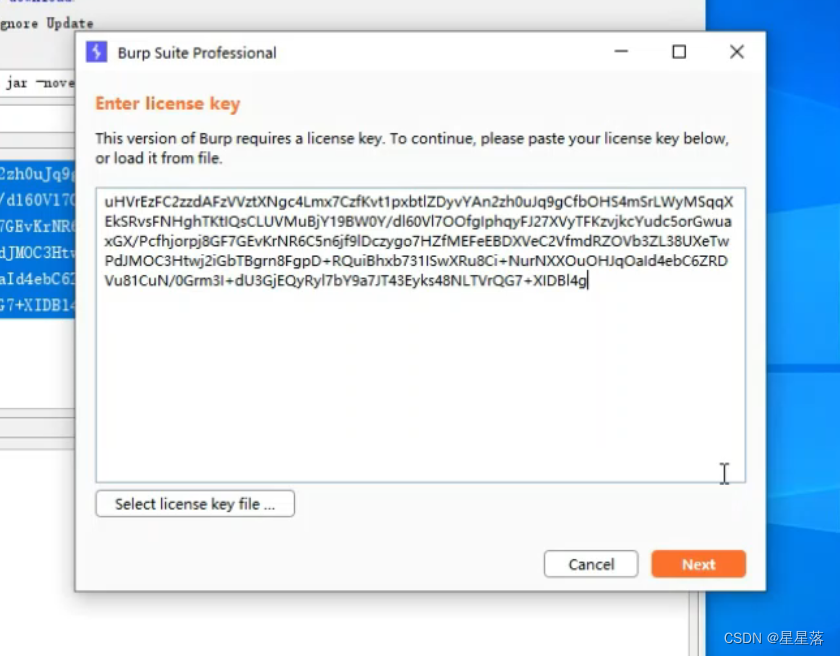 下载burp_burp下载-CSDN博客