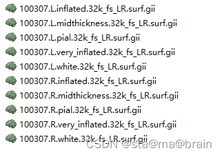 核磁共振常用的文件格式介绍：NIfTI volume 格式 (*.nii)， GIFTI 格式 (*.gii)， CIFTI 格式 (*.nii)-CSDN博客