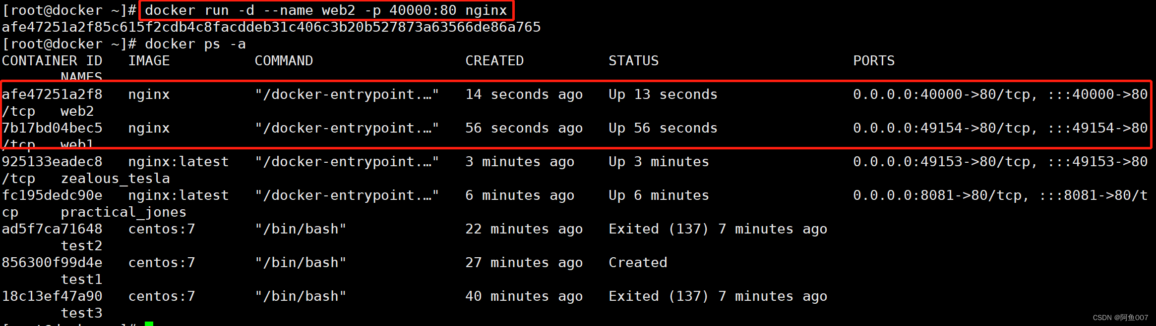 Docker 网络模式 Docker Net Csdn博客