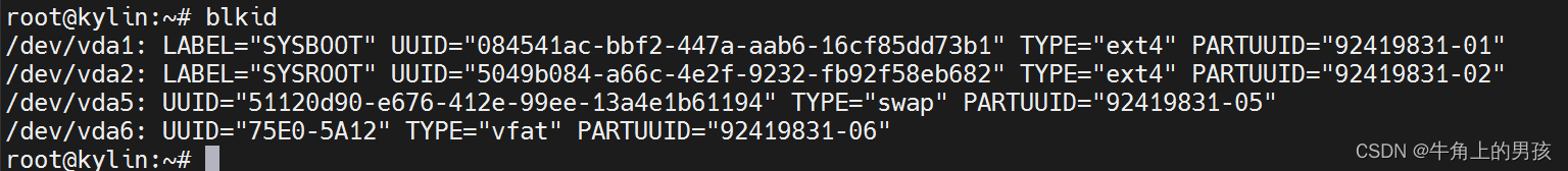 Kylin ext3/4 xfs手动扩容根分区_kylin-server-v10.gfb-release-2204-build03.arm64.is-CSDN博客