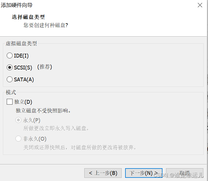 Linux添加磁盘及分区挂载_linux没有sdb分区-CSDN博客