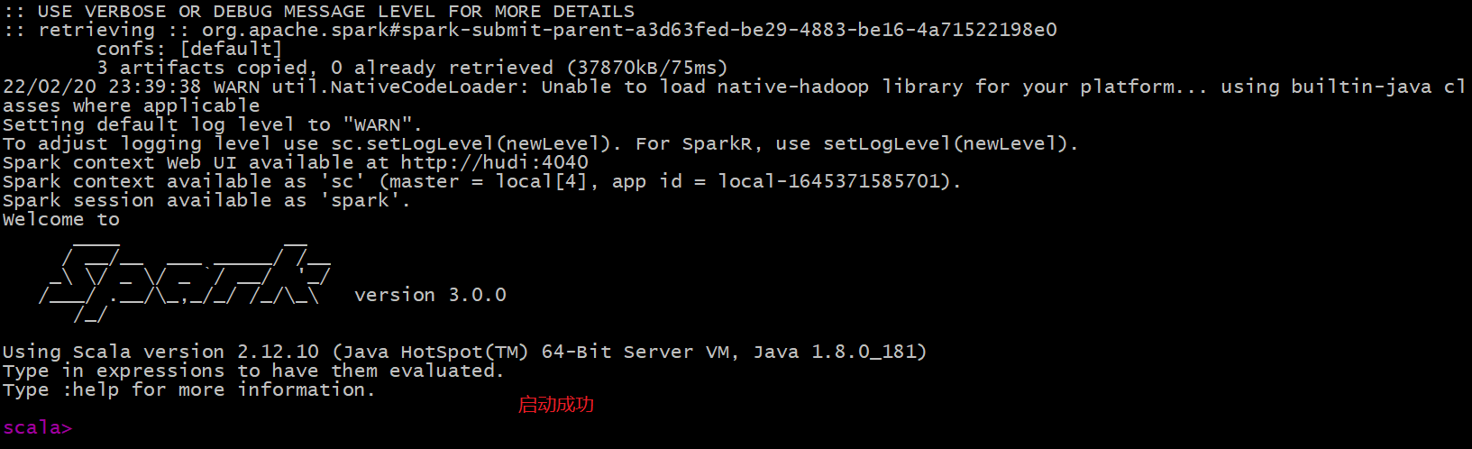 数据湖之Hudi（6）：Hudi与Spark和HDFS的集成安装使用_部署hudi-CSDN博客