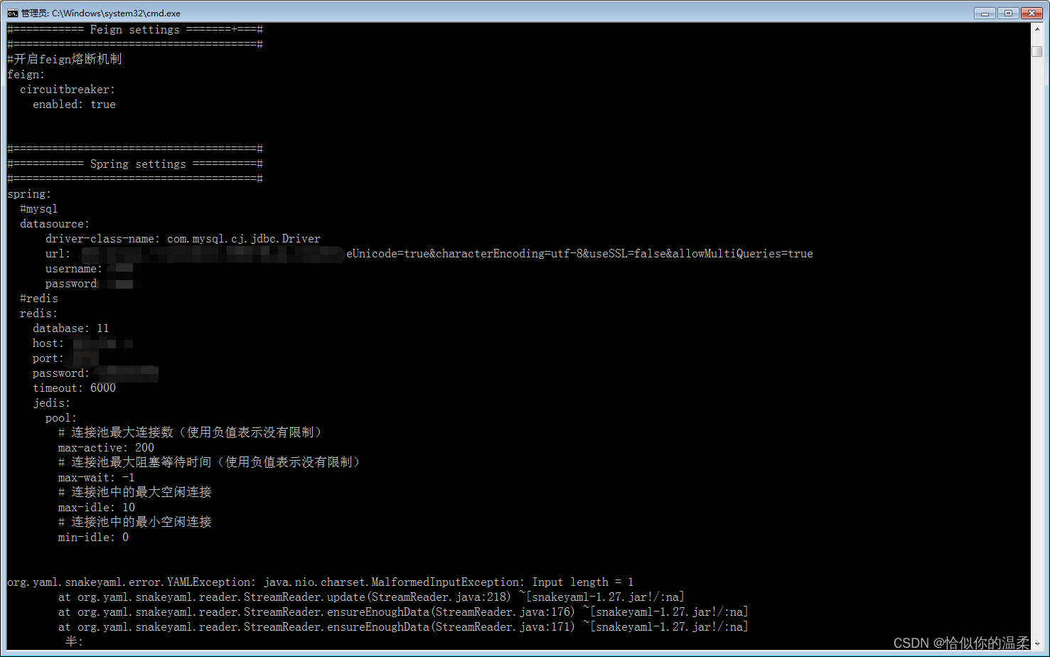 报错org.yaml.snakeyaml.error.YAMLException: java.nio.charset.MalformedInputException: Input length ...