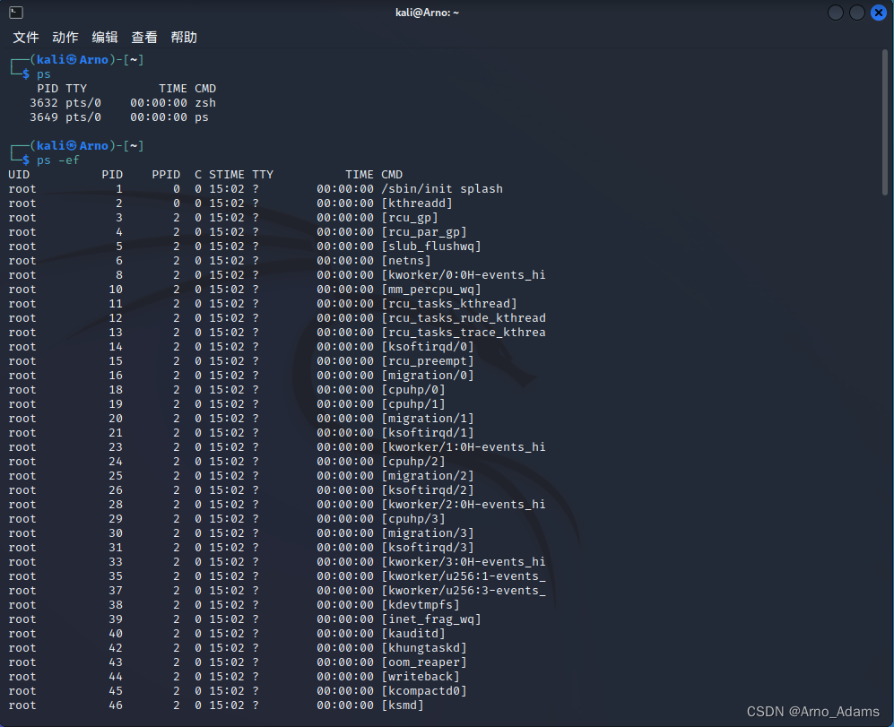 kali Linux学习笔记（基本BASH命令）_kali bash-CSDN博客