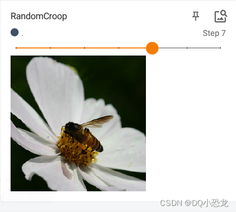Torchvision(transform)_torchvision transform-CSDN博客